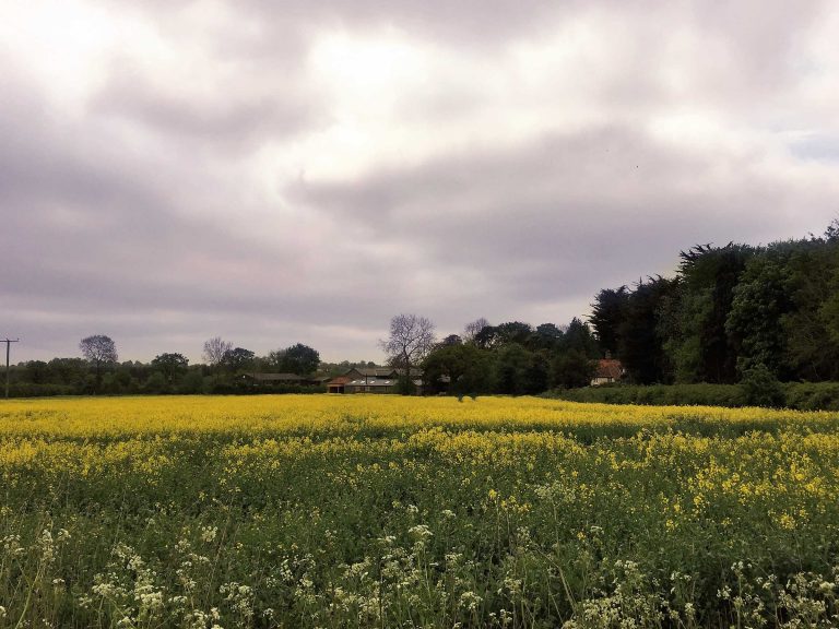 Country Estates & Farms - Finn Geotherm